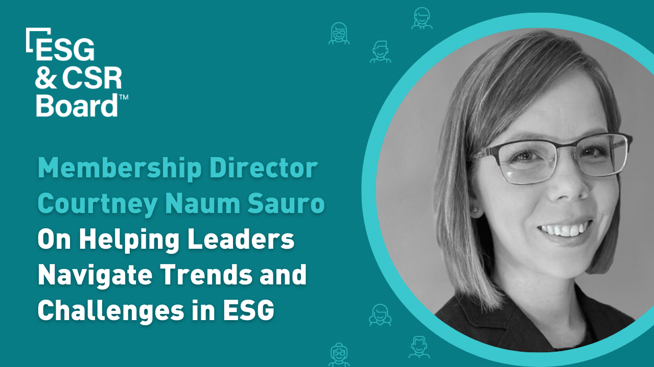 ESG & CSR Board: Navigating Leadership Challenges | Board.org
