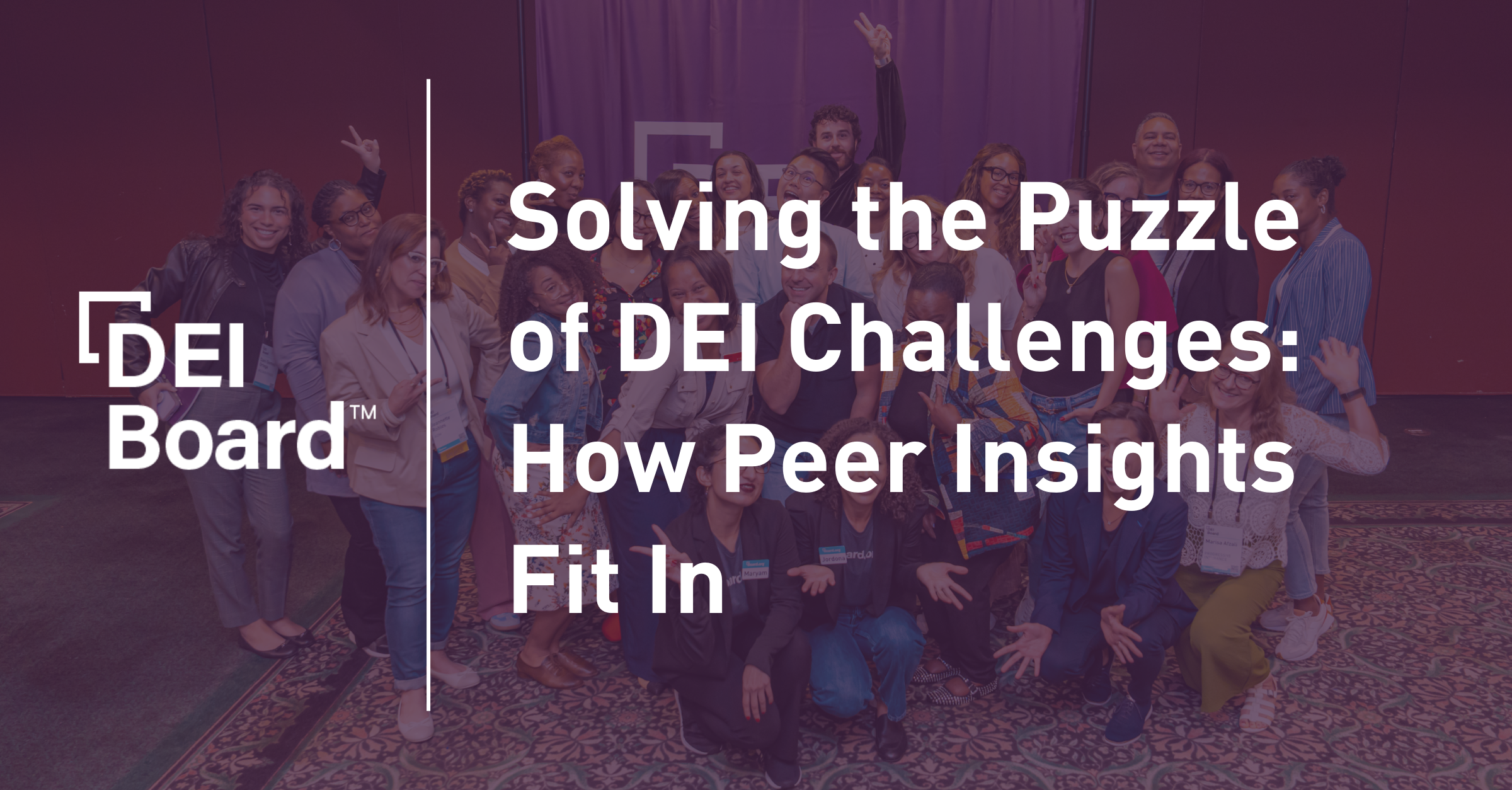 Solving the Puzzle of DEI Challenges: How Peer Insights Fit In | Board.org